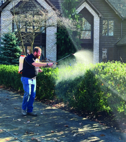 Prevent Deer Damage | Safe & Effective Deer Protection for Shrubs