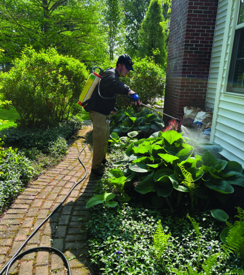 Protect Your Plants | Deer Spray Service near Cleveland